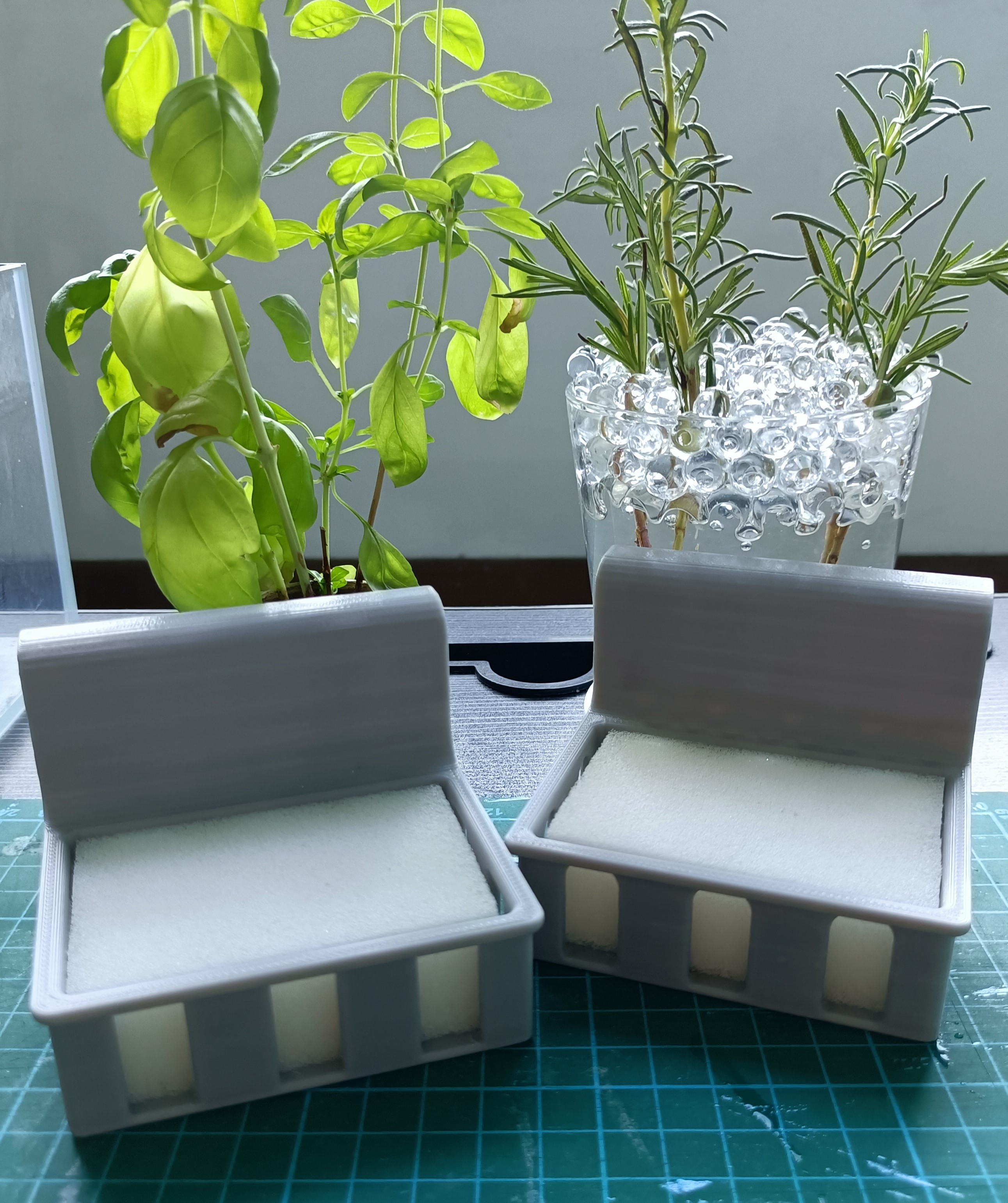 Aquarium Side Planter – Farnix Technologies