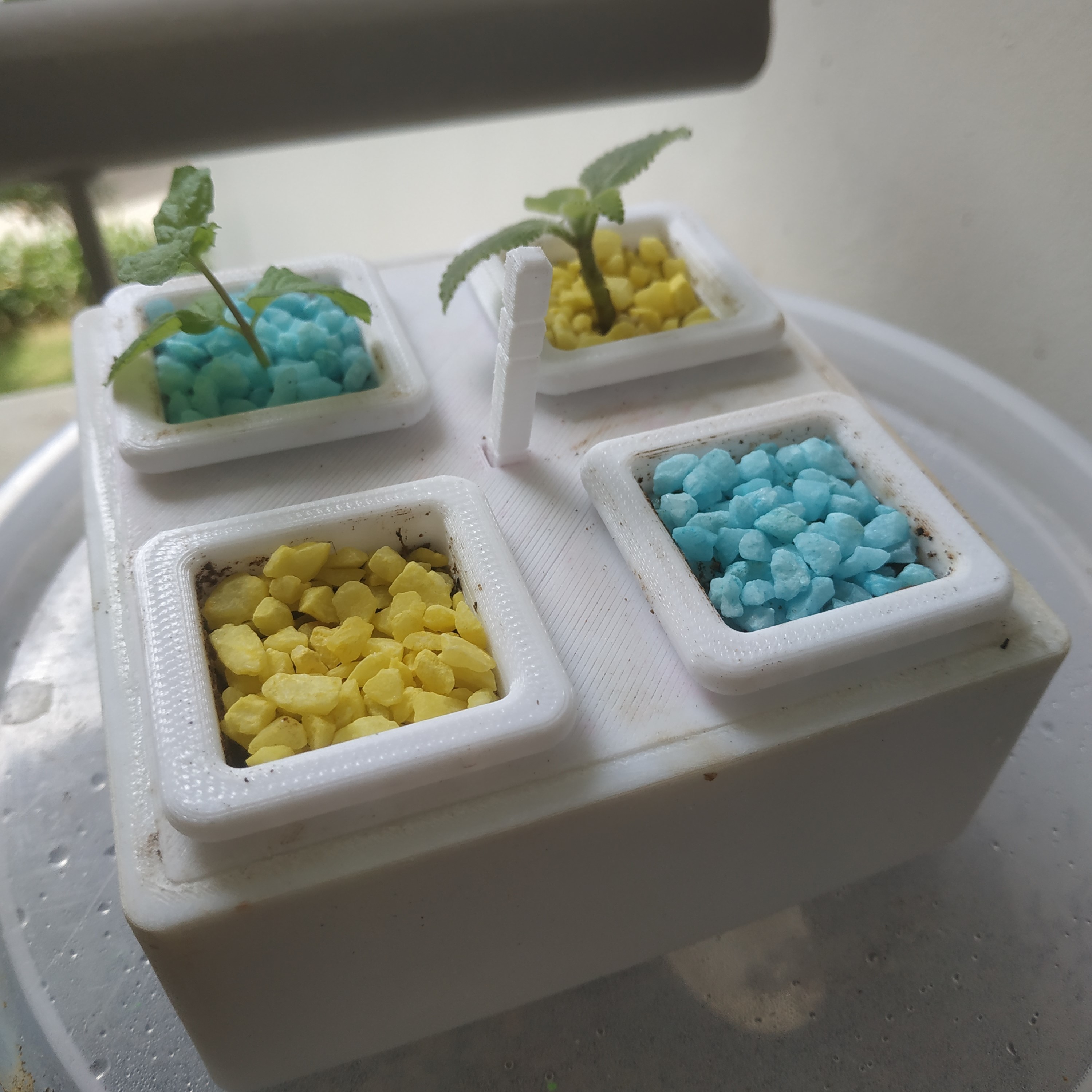 Mini Desktop Planter – Farnix Technologies